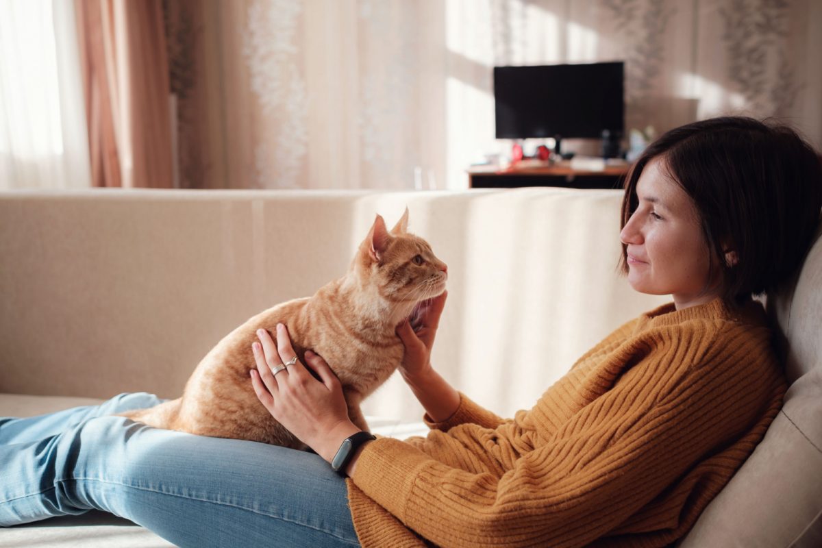 Cat Petting Chart - Learn How To Pet Your Pet
