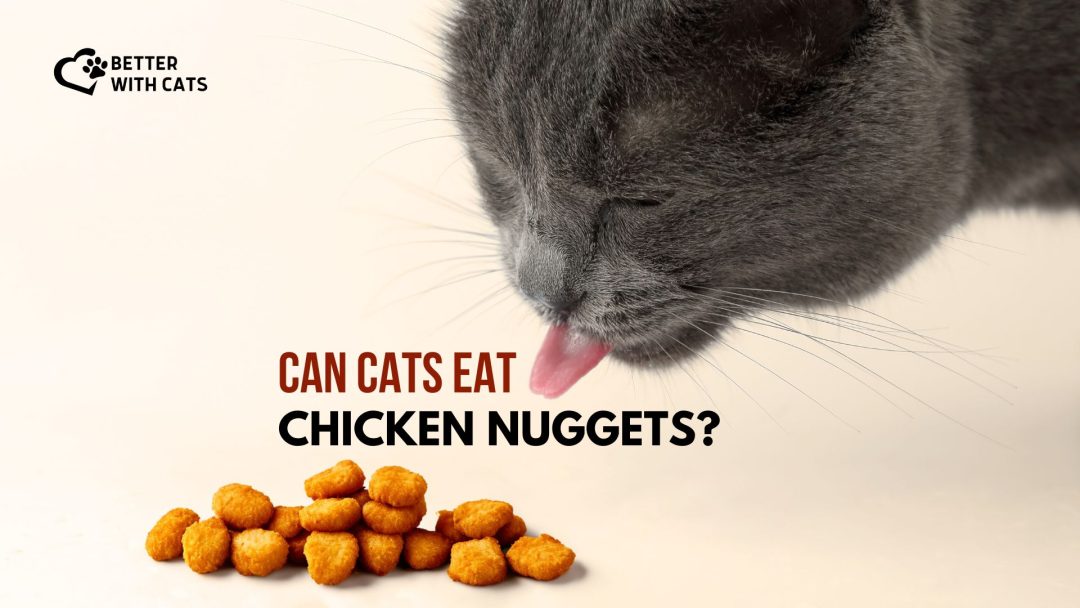 Can Cats Eat Chicken Nuggets And Are There Any Risks?