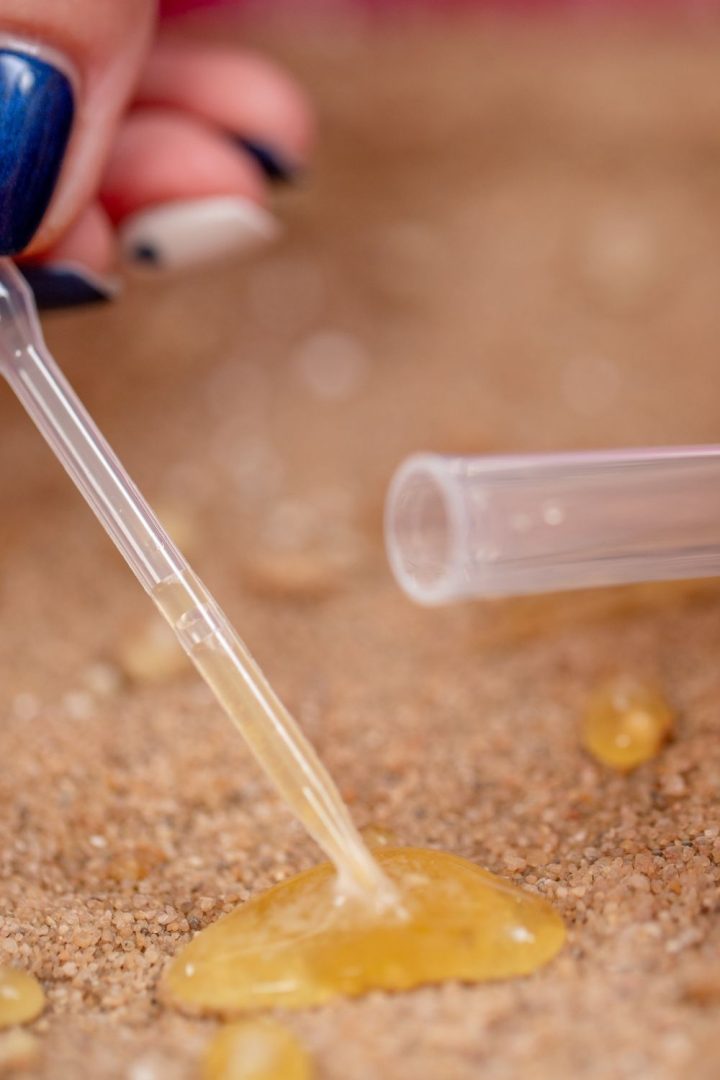 7 Reasons For A Foamy Cat Urine And Tips On How To Help