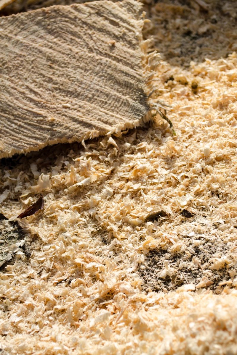 9 Great Alternatives To Cat Litter